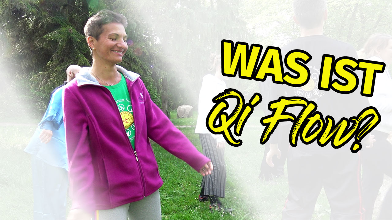 Was ist Qi Flow?